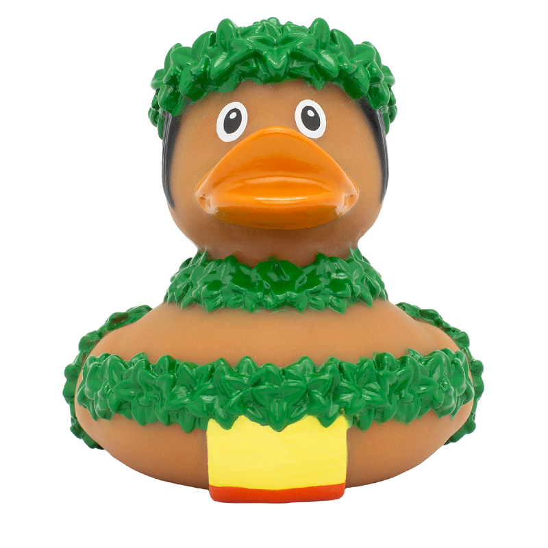 ברווז הוואי | שוקה Shooka